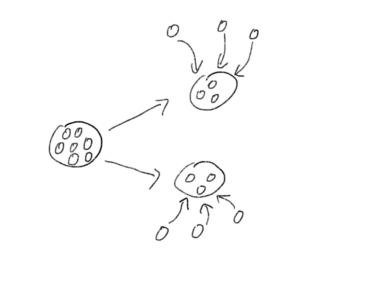 Netzwerkorganisation in der Praxis - Joachim Pfeffer