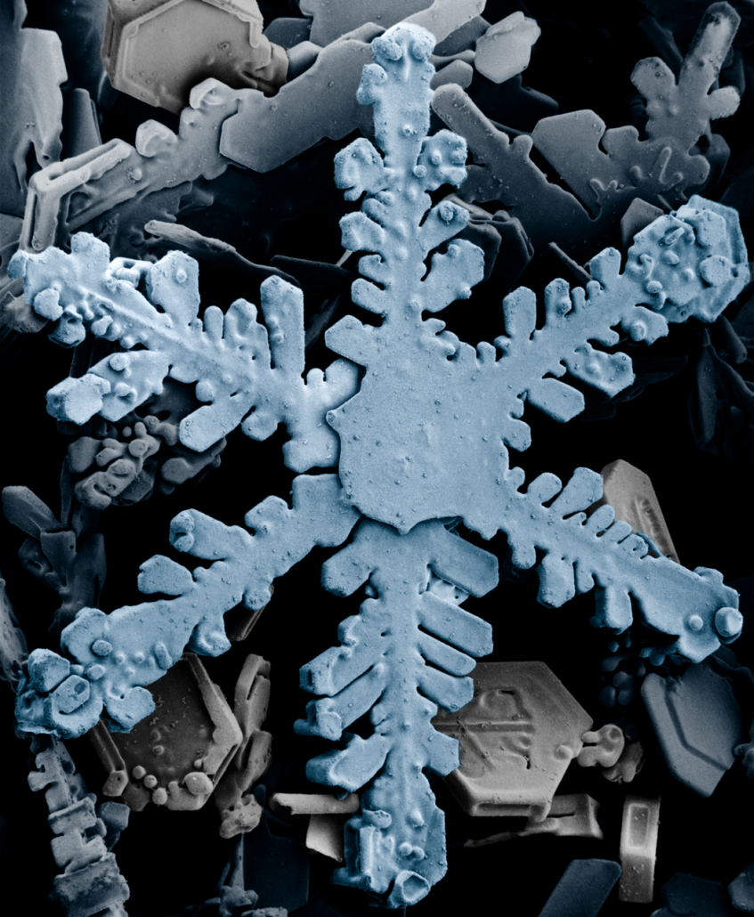 Schöne und gesunde Weihnachten! - Joachim Pfeffer